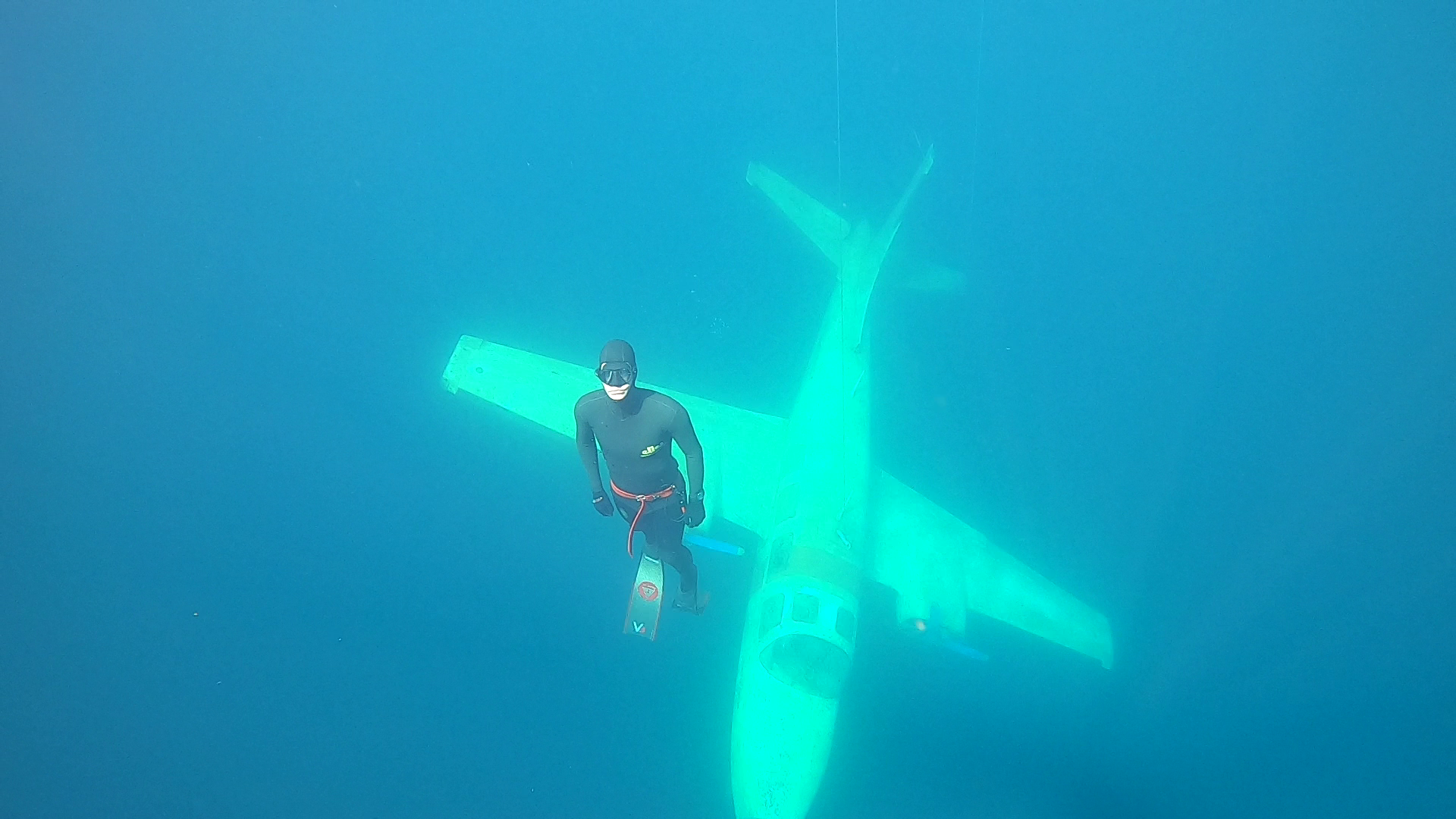 PADI Freediver opleiding - TANGAROA Freediving - PADI & AIDA Freedive ...